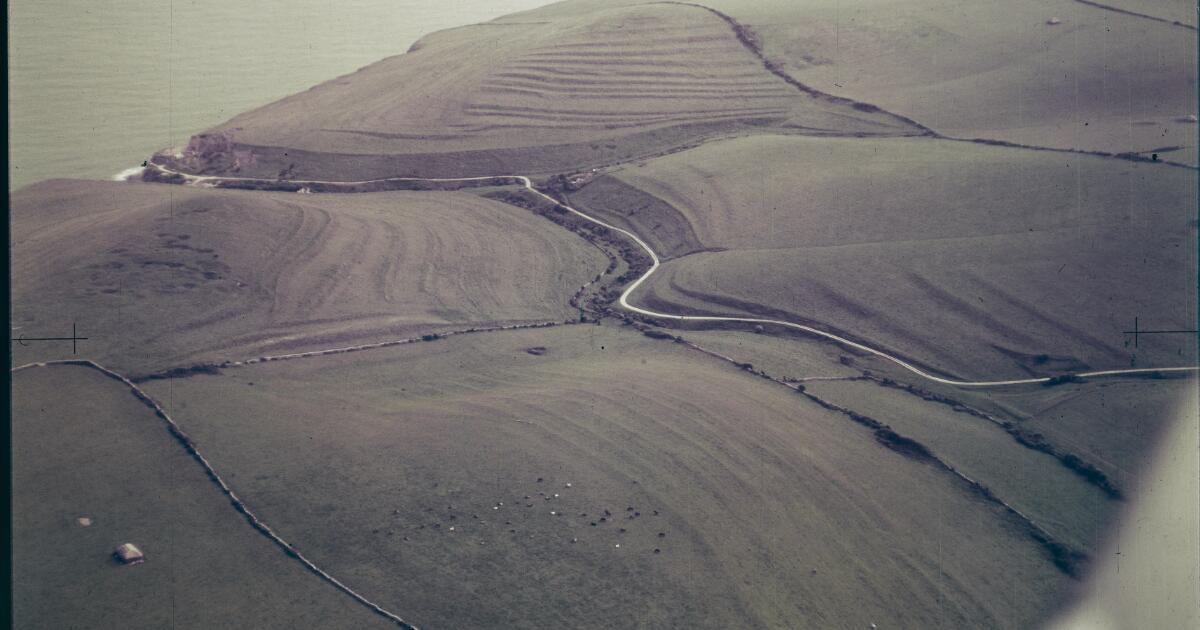 Landscape Histories from the Air : Lynchets, Worth Matravers, Dorset