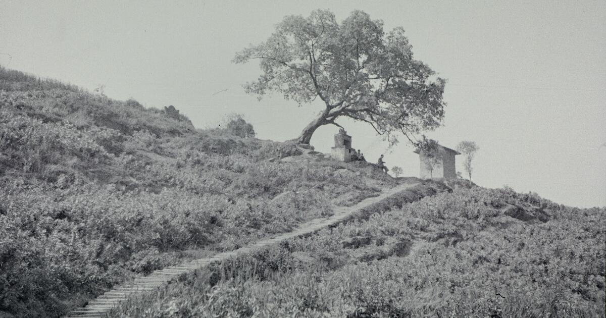 Joseph Needham : SZE - Szechuan (Sichuan) Province 四川省