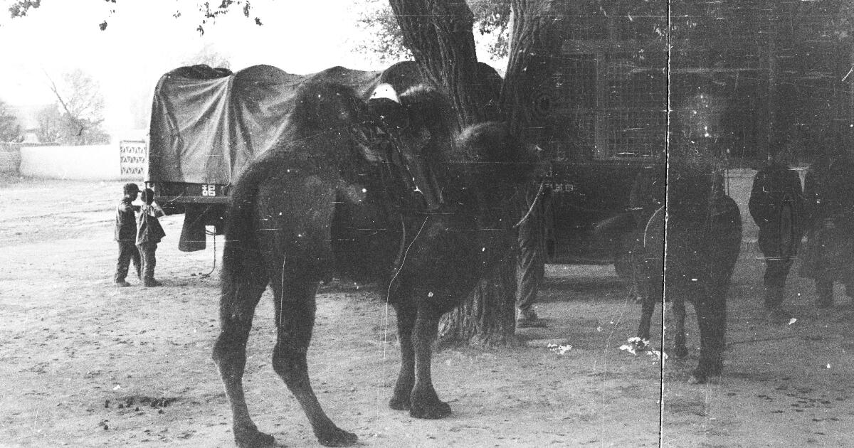 Joseph Needham : CFT - Djiayukuan (Jiayuguan) 嘉峪關, Chienfotung ...