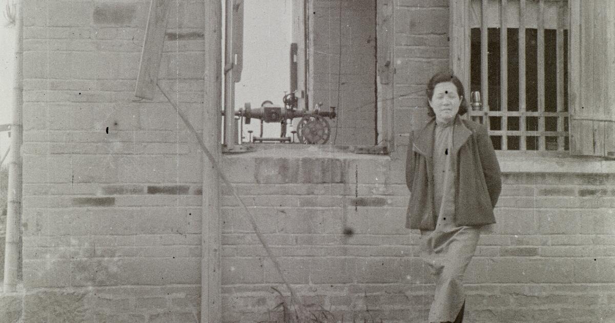 Joseph Needham : SE - Southeast journey