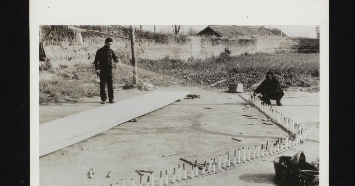 Joseph Needham : Gungho