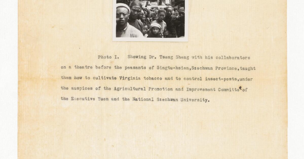 Joseph Needham : Tseng