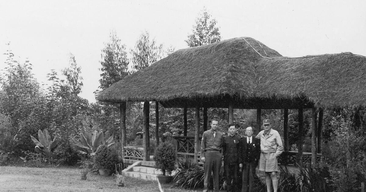 Joseph Needham : Medium