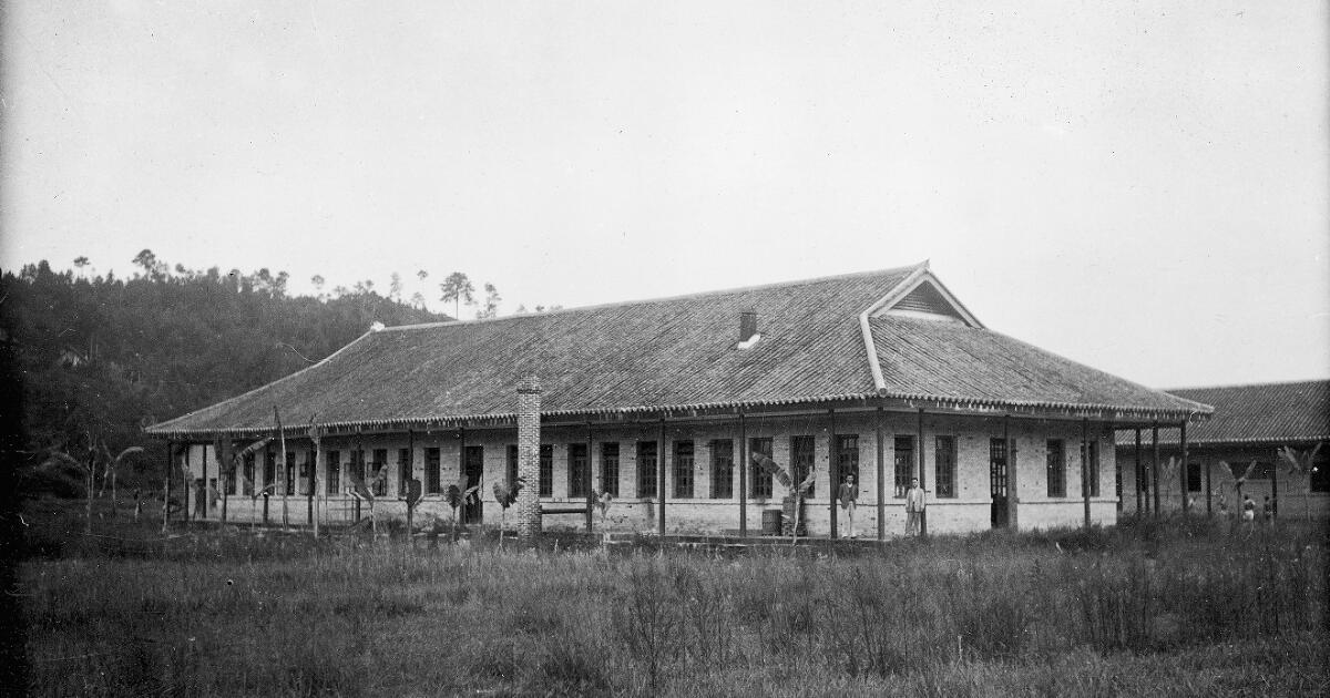 Joseph Needham : MISC