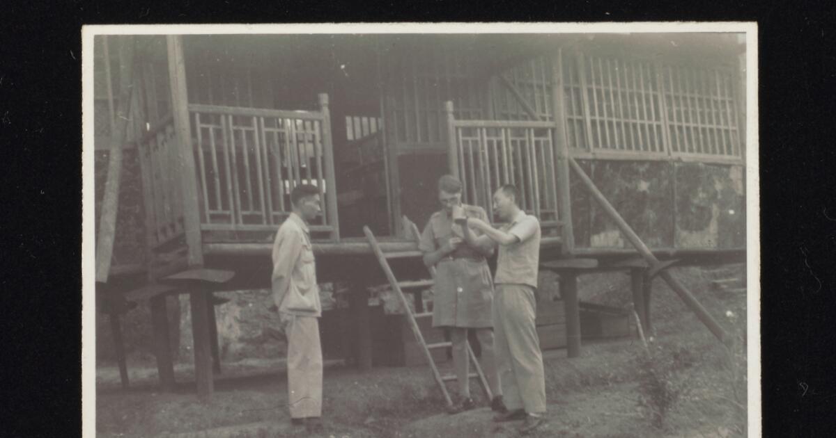 Joseph Needham : MISC