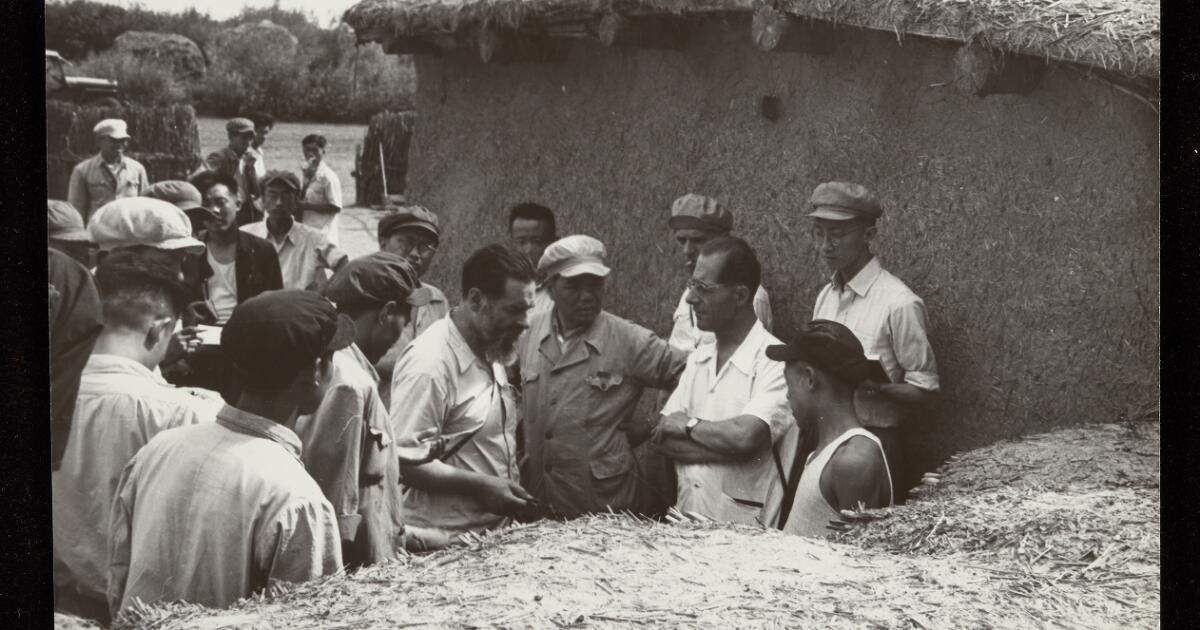 Joseph Needham : Photographs taken by an official Chinese photographer accompanying the ISCBW ...