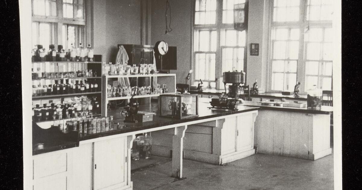 Joseph Needham : Photographs taken in North-east China by local Chinese ...