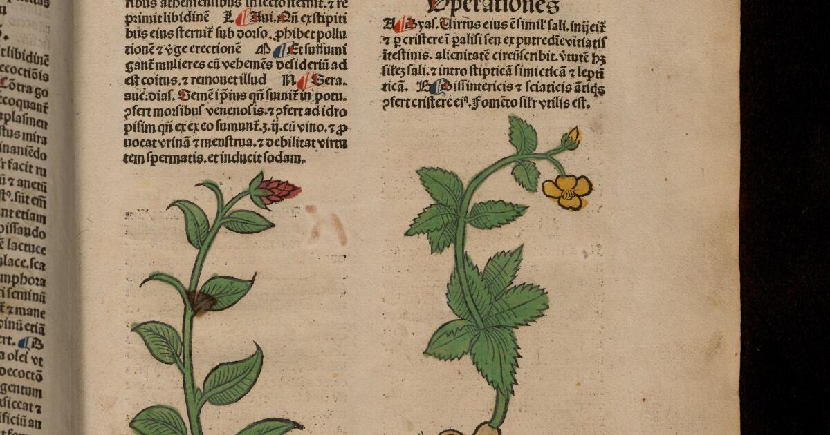 Treasures of the Library : Ortus sanitatis