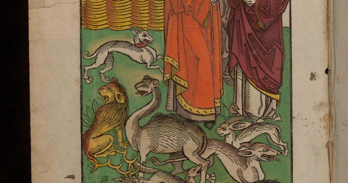 Treasures of the Library : Ortus sanitatis