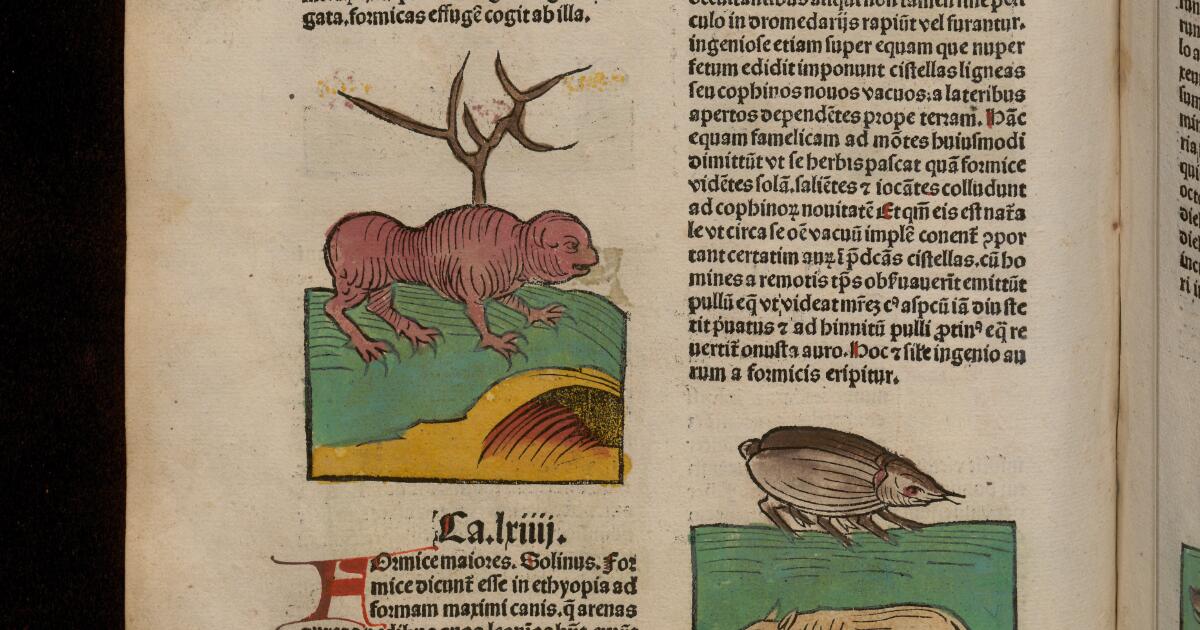 Treasures of the Library : Ortus sanitatis