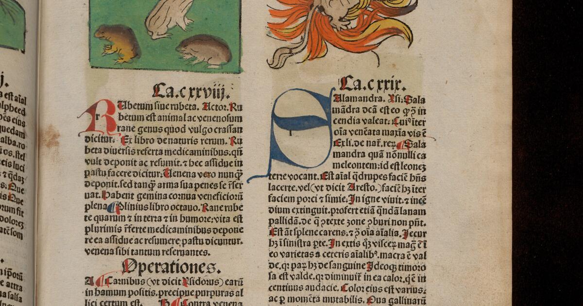 Treasures of the Library : Ortus sanitatis