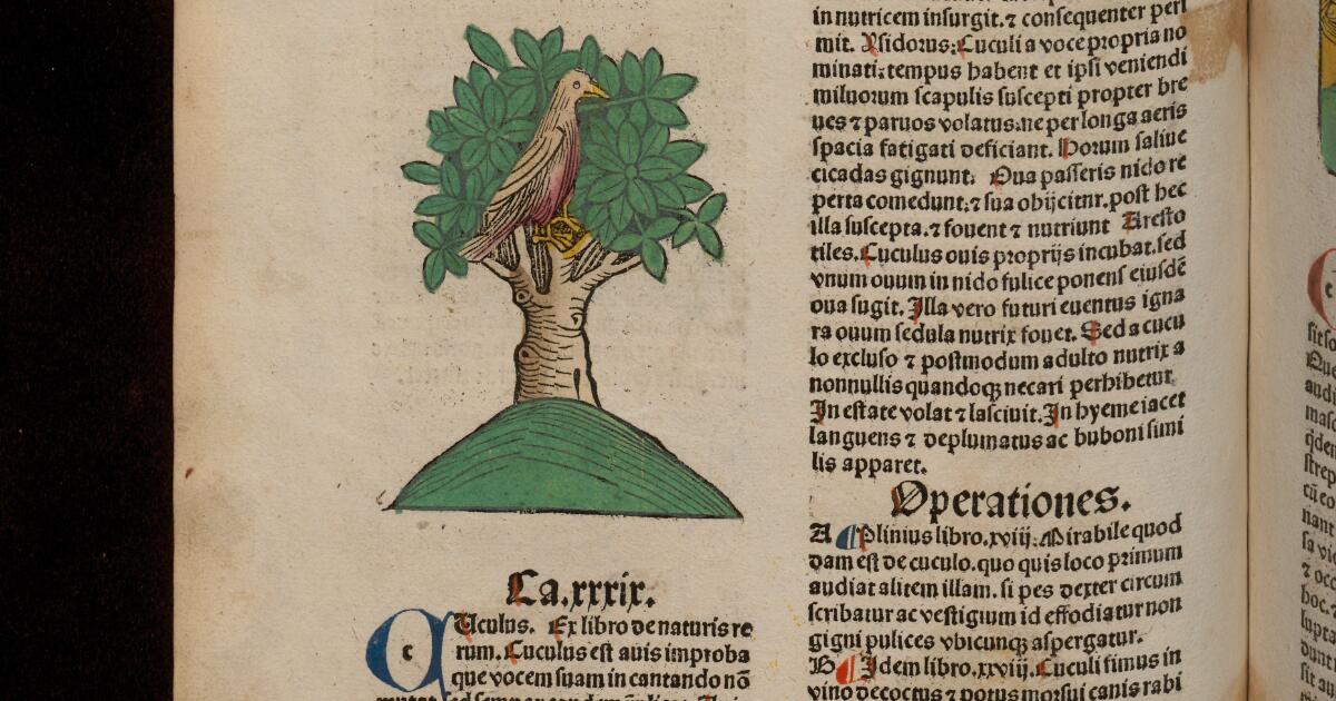 Treasures of the Library : Ortus sanitatis