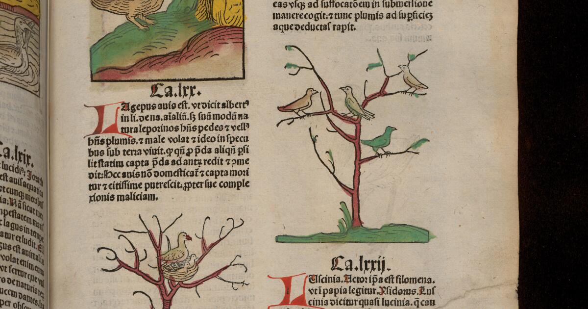 Treasures of the Library : Ortus sanitatis