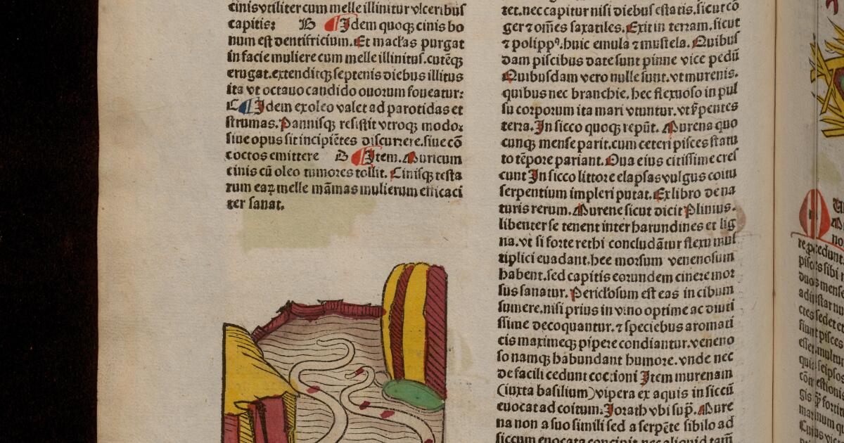 Treasures of the Library : Ortus sanitatis